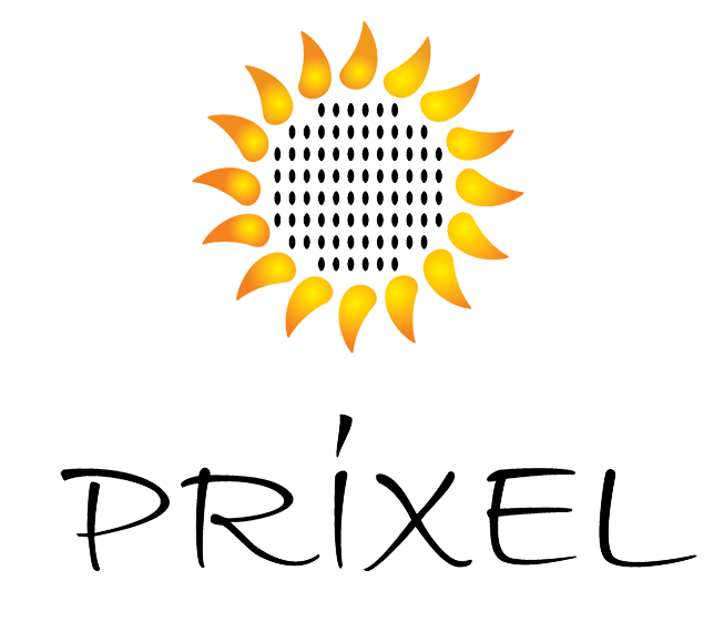 Summer Accelerator - Startup UCLA